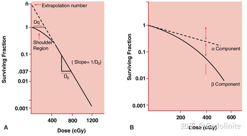 【RT学习笔记】放射生物学效应的LEM模型（Local Effect Model，局部效应模型） - 知乎