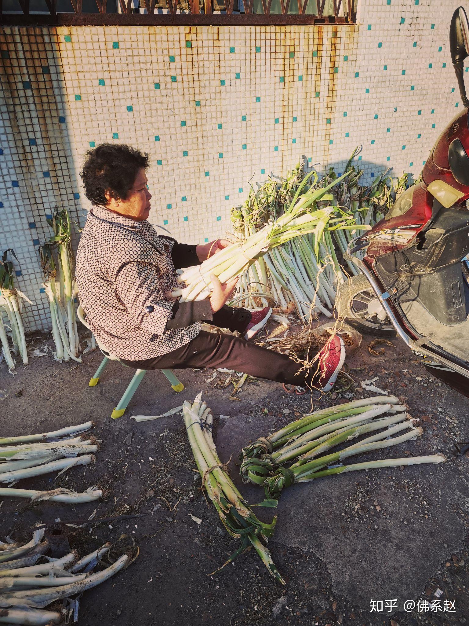 我的随手拍 - 知乎