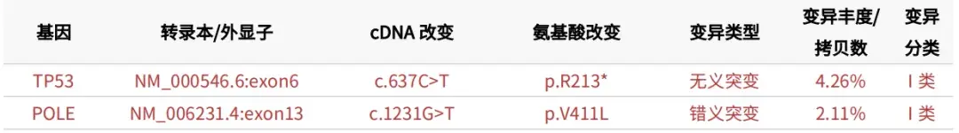 “绘”解读 真报告丨子宫内膜癌检出POLE+TP53共突变，分子分型评估里有学问！ - 知乎
