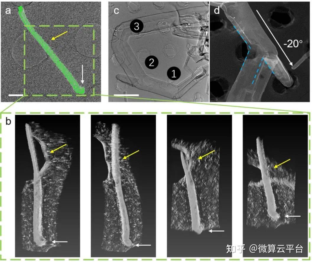 上科大刘巍&于奕教授JACS：首次室温电镜下观测锂枝晶生长 - 知乎