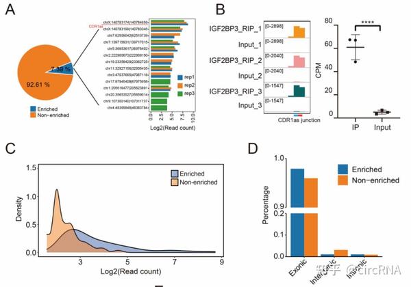 circRIP：识别环状RNA-RBP相互作用的工具 - 知乎
