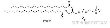 DSPC，二硬脂酰基磷脂酰胆碱（CAS：816-94-4）是如何在LNPs中大放异彩的？ - 知乎