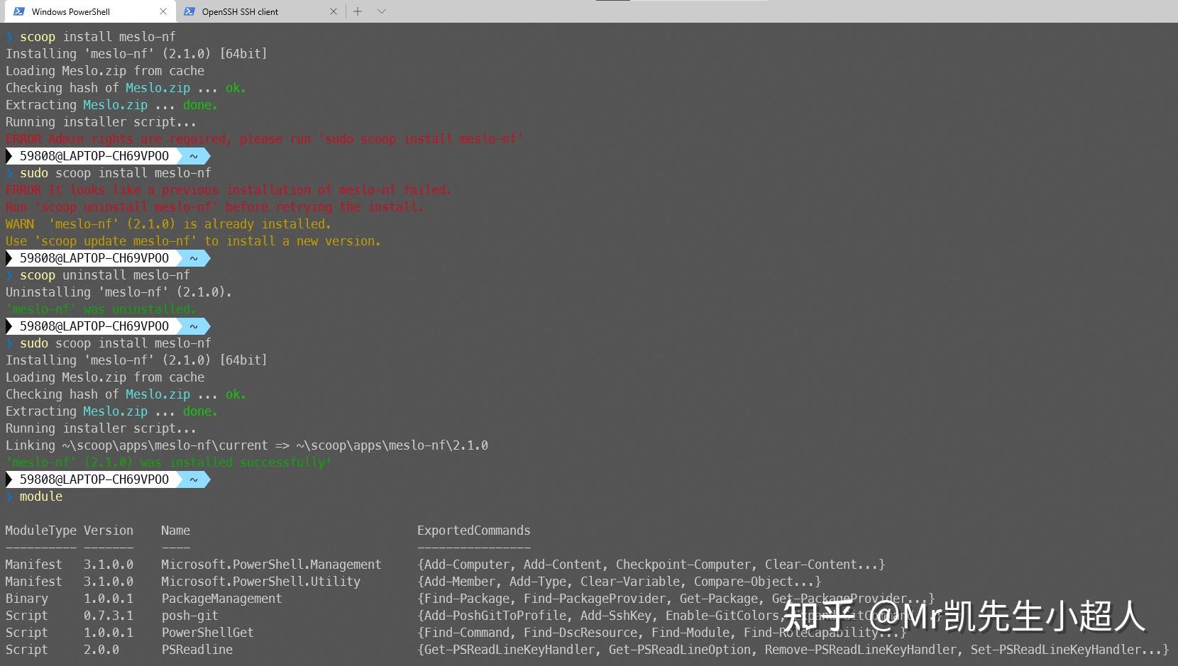windows Terminal使用oh-my-posh美化历程 - 知乎