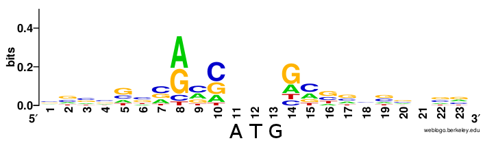 辉瑞/BNT（Pfizer/BioNTech） 和 莫德纳（Moderna） mRNA 疫苗的核酸设计思路 - 知乎