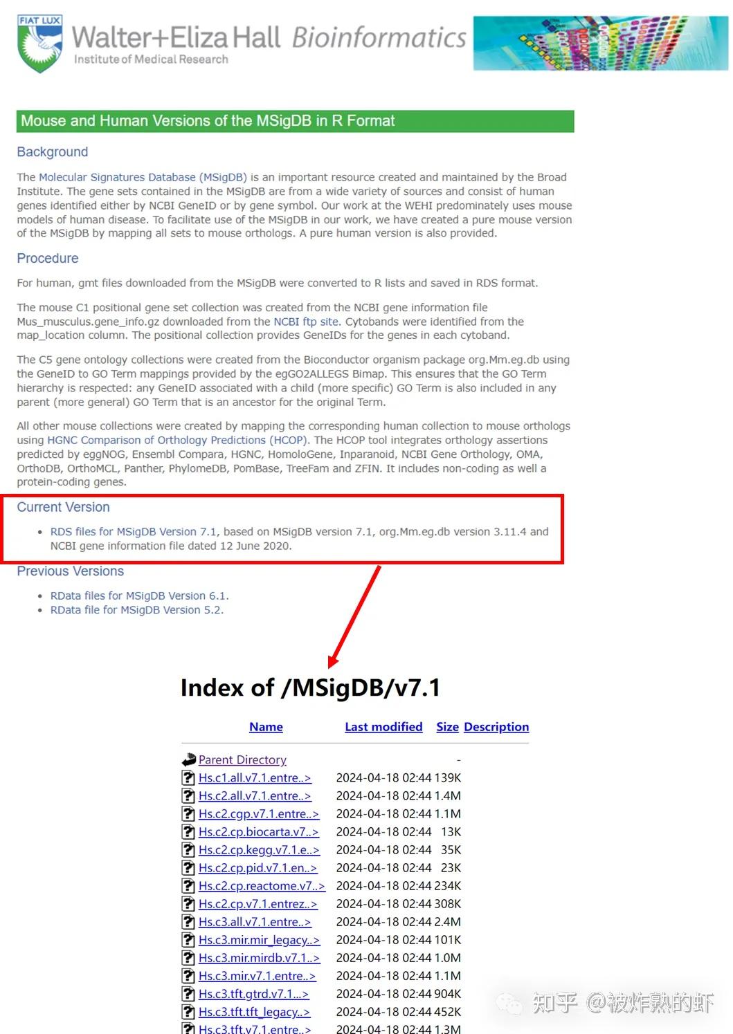从MSigDB查找感兴趣的基因集 - 知乎