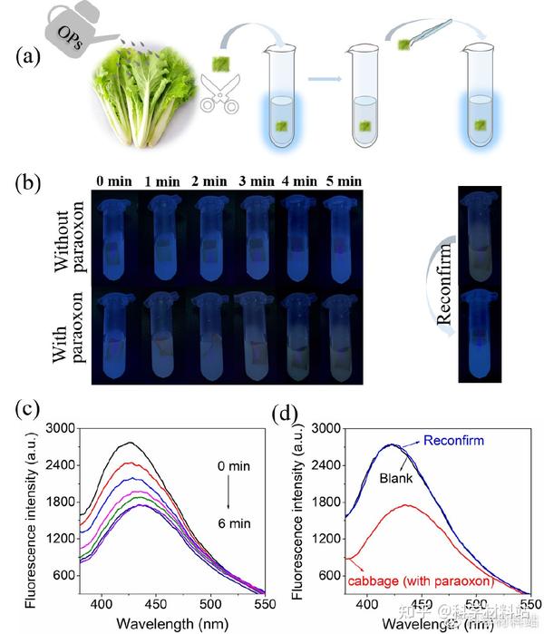 CEJ：多功能铁掺杂碳点和金属有机框架纳米反应器级联降解和检测有机磷农药 - 知乎