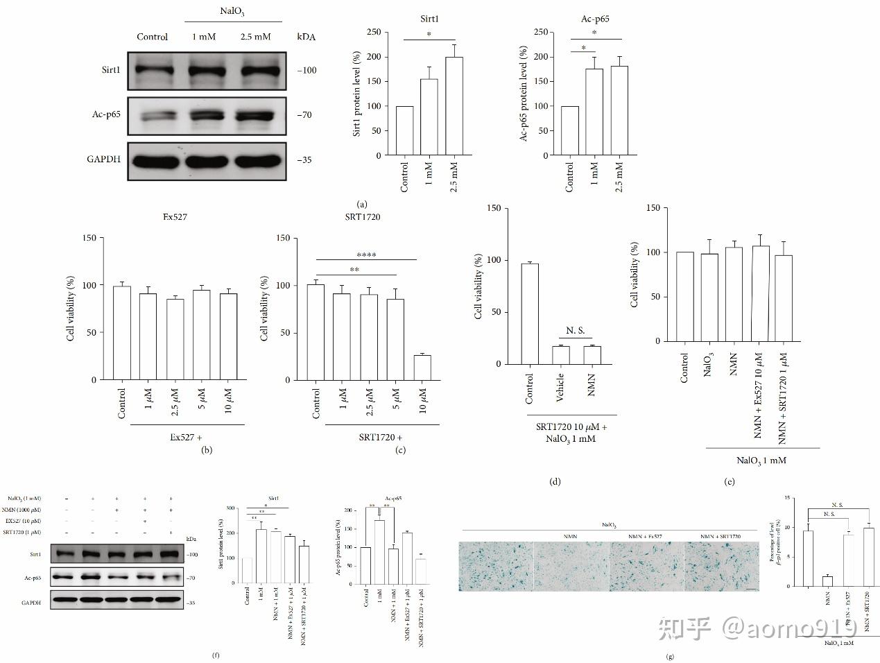 AbMole科研-烟酰胺单核苷酸可改善碘酸钠在RPE中引起的细胞衰老和炎症反应 - 知乎