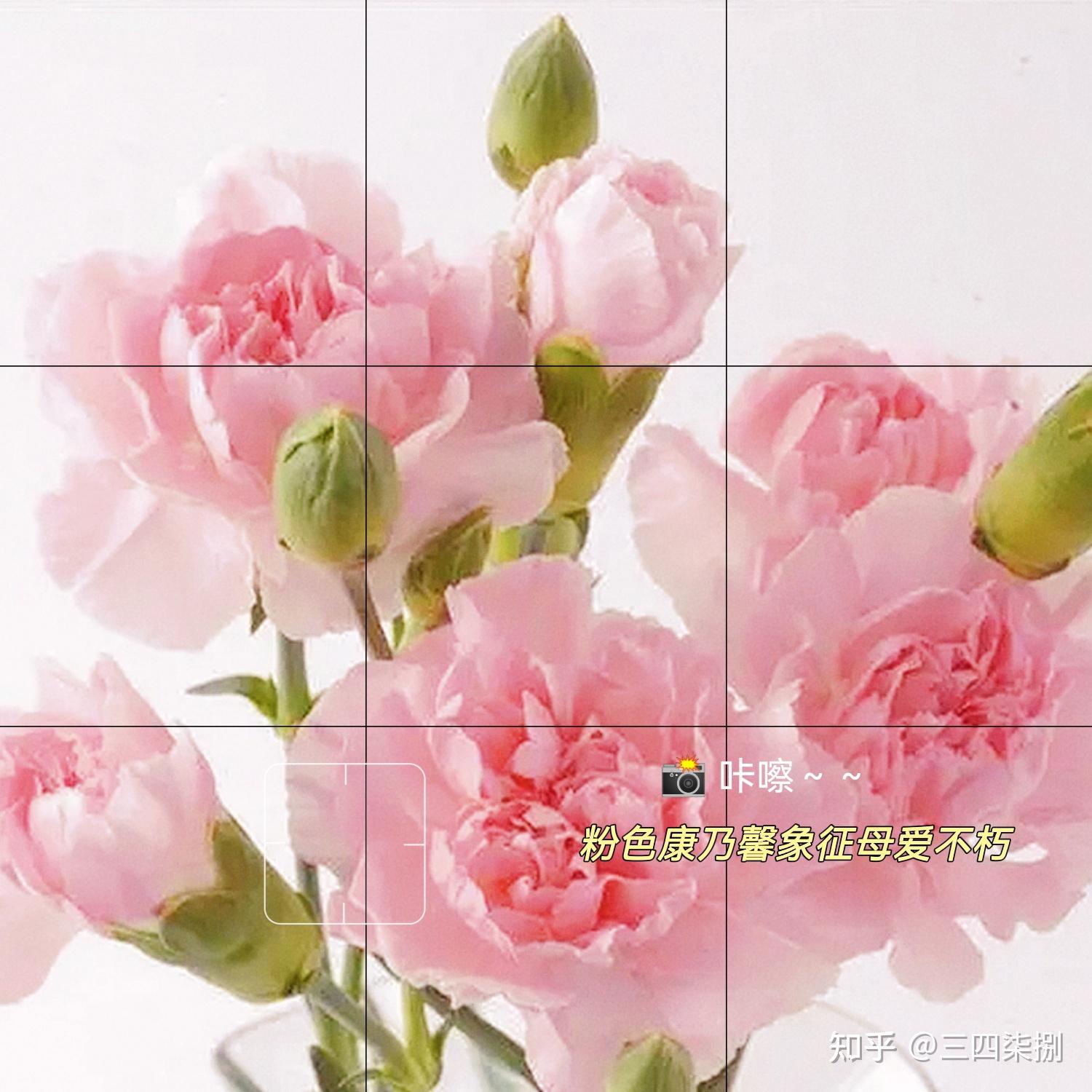 很绝情!但在爱情里却是最软弱的星座都是谁? 知乎