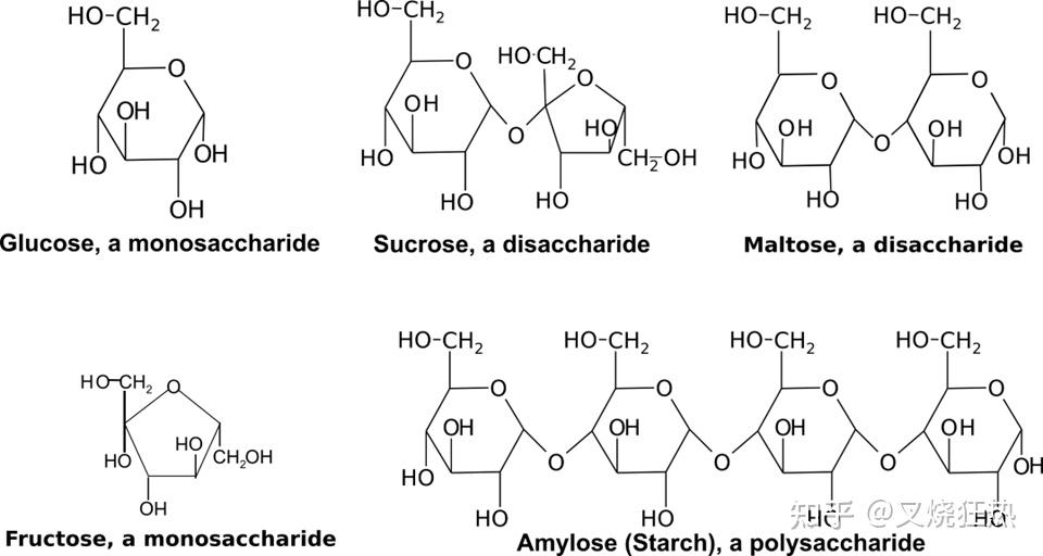 生物化学NOOB笔记（II） - 知乎