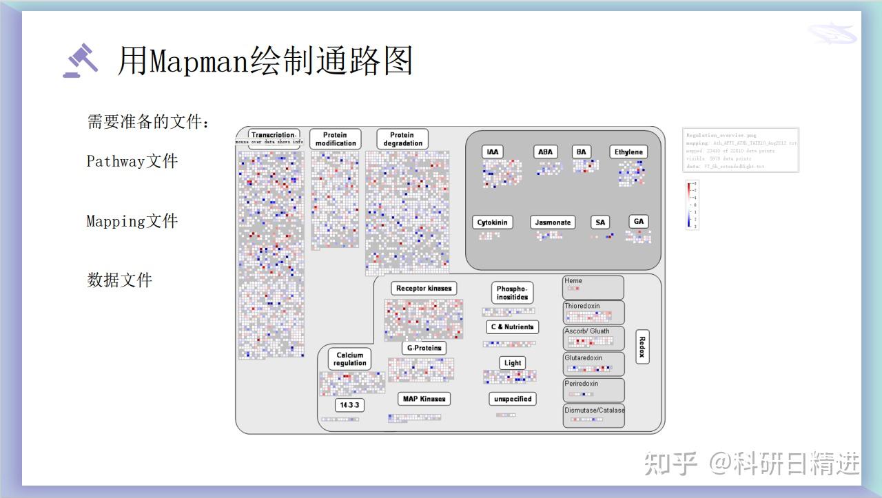 画通路图的神器 - Mapman的使用 - 知乎