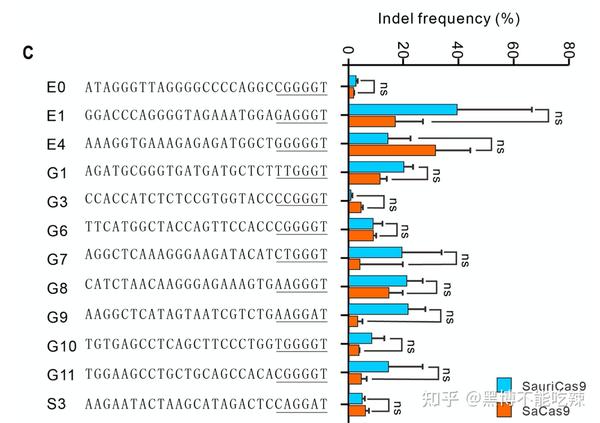 小型Cas9蛋白开发 - 知乎