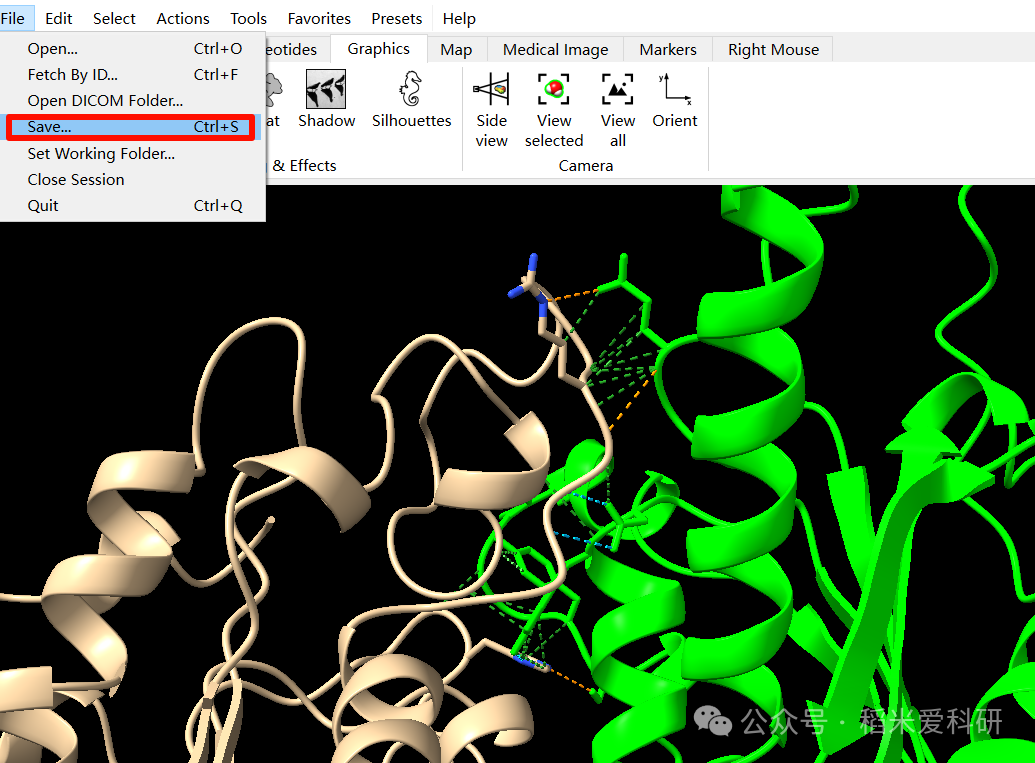 用ChimeraX来分析Alphafold3预测的蛋白互作位点 - 知乎