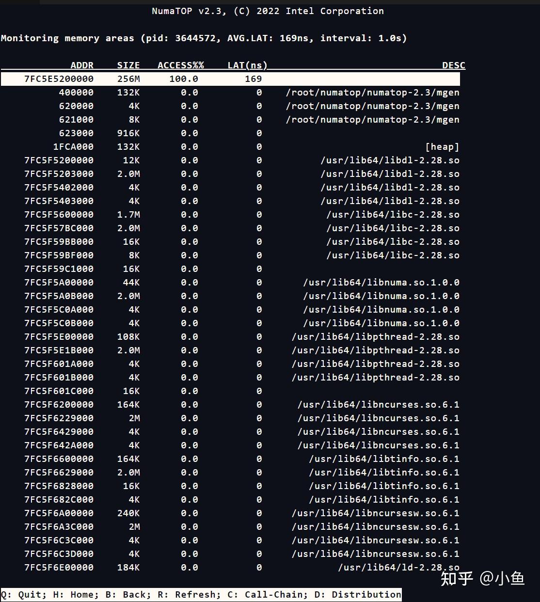 【Linux工具系列】Numa观测工具NumaTOP - 知乎