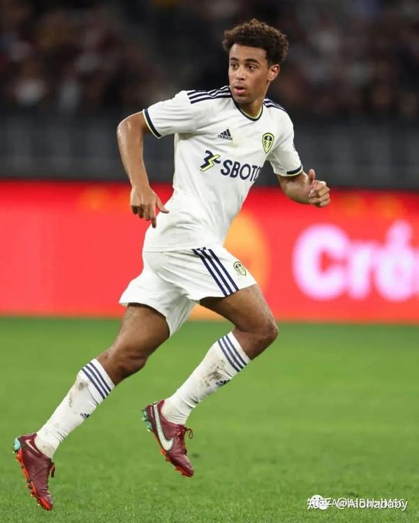 【彩虹世界杯】秒怂—英格兰等8支球队宣布放弃佩戴彩虹袖标 - 知乎