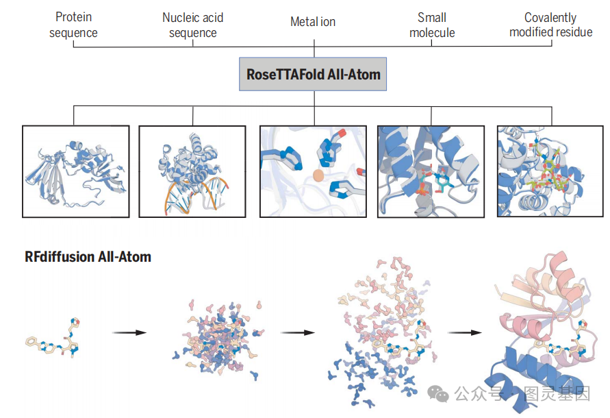Science ｜ David Baker院士发布通用AI原子级模型，可从头设计小分子药物 - 知乎