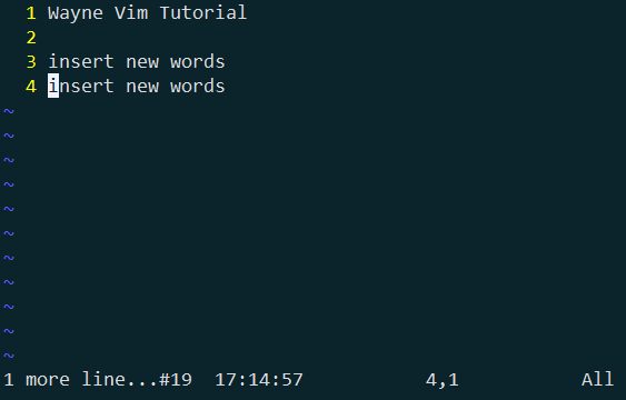 Linux Vim操作看这篇文章就够了 - 知乎