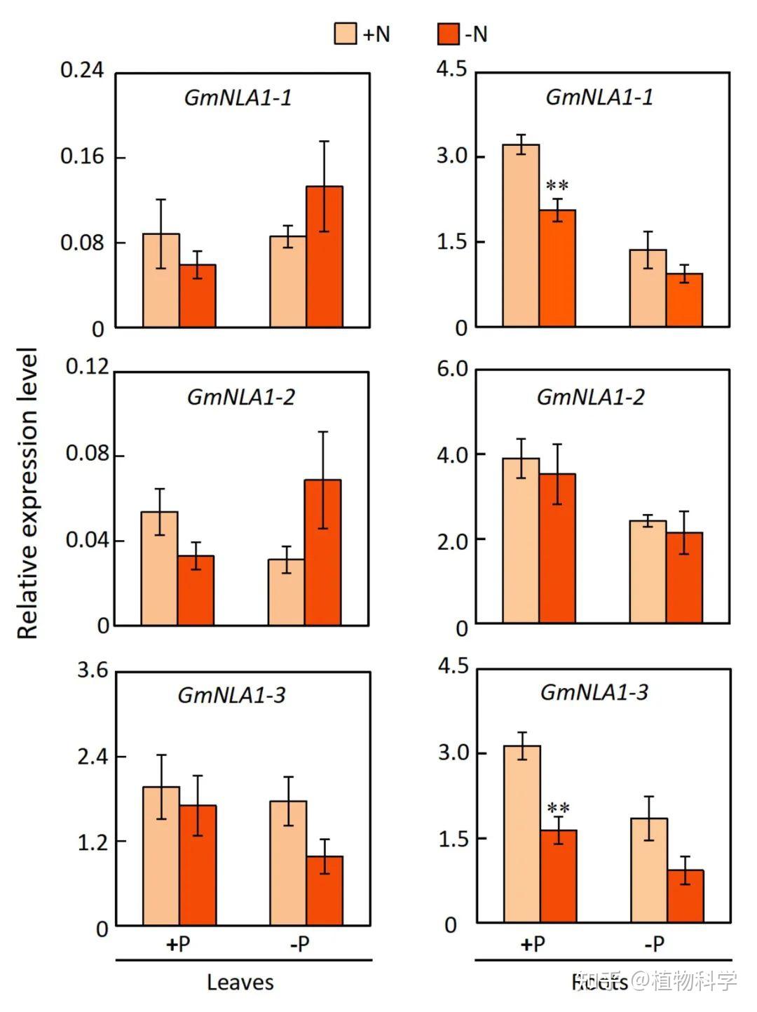 华南农业大学揭示GmNLA1调控大豆根系响应氮磷互作的分子机制 - 知乎