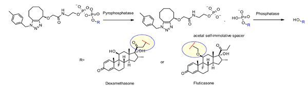13-曜享干货 | 连接子（Linker）——mAb到ADC之路的关键 - 知乎