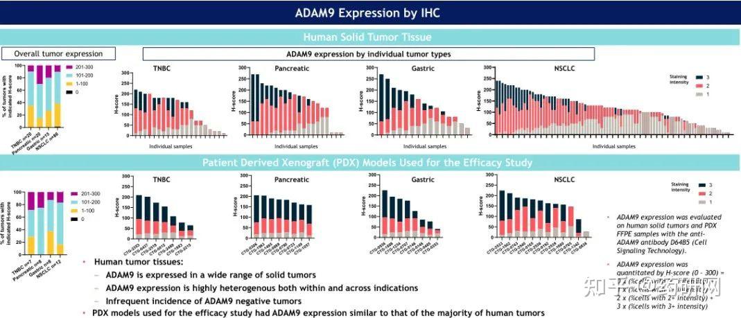 抗癌新靶标之ADAM9—ADC、单抗、小分子抑制剂研究 - 知乎