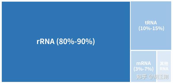 8 分钟一步操作轻松去除 rRNA - 知乎