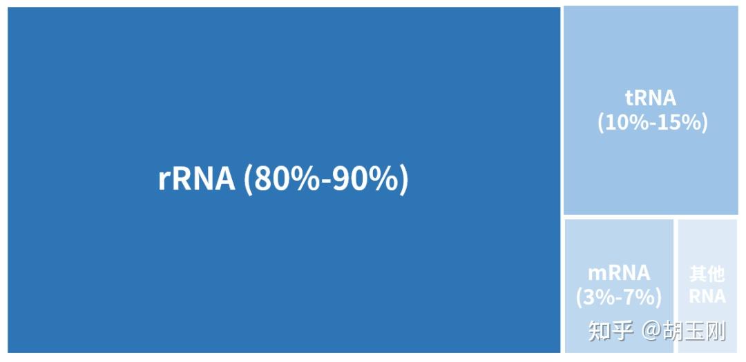 8 分钟一步操作轻松去除 rRNA - 知乎