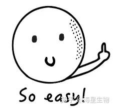 MEM、MEM-EBSS、MEMα 如何区分？？？ - 知乎