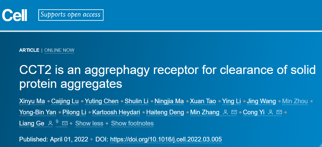 浙江大学《Cell》，合作发文发现新型聚集体自噬受体CCT2介导固态蛋白聚集体的清除 - 知乎
