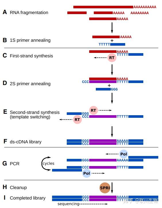FFPE单细胞测序是什么？如何挽救冻存样本？ - 知乎