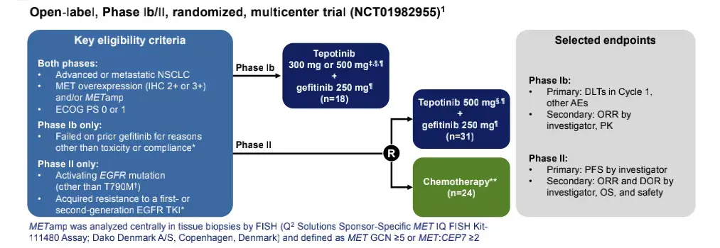 WCLC2021丨MET扩增靶向动态之Tepotinib - 知乎