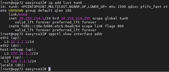 openVPN + VPP = openVPP - 知乎