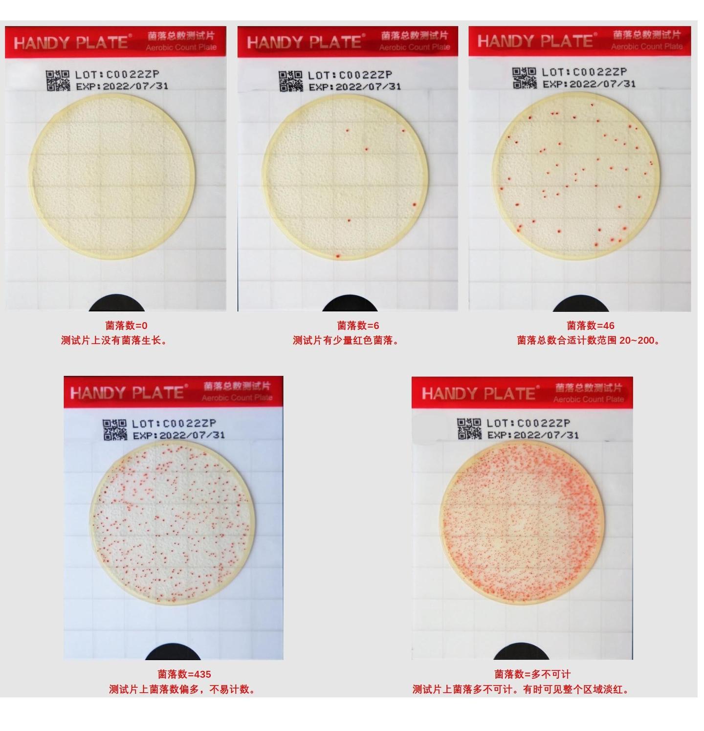 食品微生物检验GB4789.2-2022菌落总数测定及注意事项 - 知乎