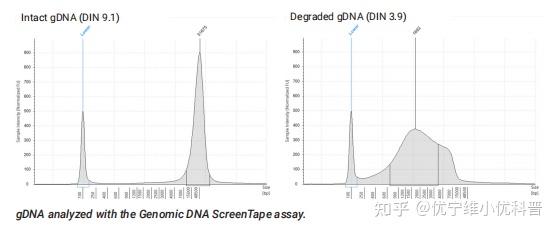 二代测序（NGS）质控要点解析 - 知乎