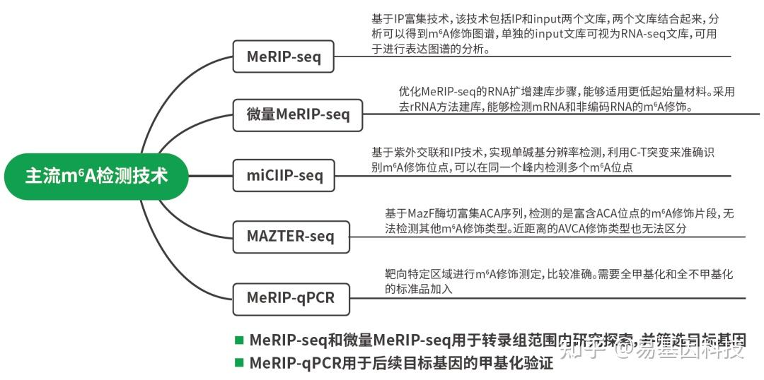 易基因｜RNA m6A甲基化测序(MeRIP-seq)技术介绍 - 知乎