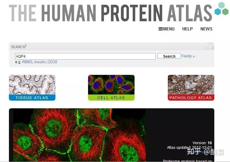 10步填上免疫组织化学 (IHC) 的坑 - 知乎