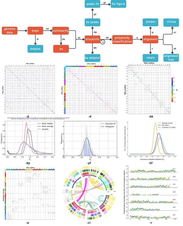 Mol Plant | WGDI：用于基因组复制和核型进化分析的工具包 - 知乎