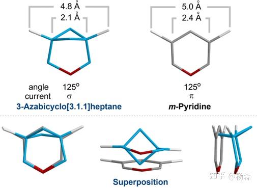 特殊结构构建：3-Azabicyclo[3.1.1]heptanes（BCHP）的合成及其在药物设计中的运用 - 知乎