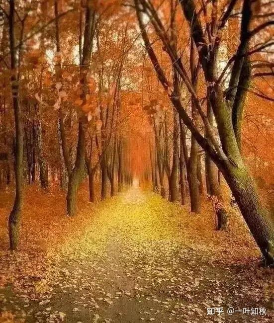 医护人员的粗心大意造成手术推迟了 - 知乎