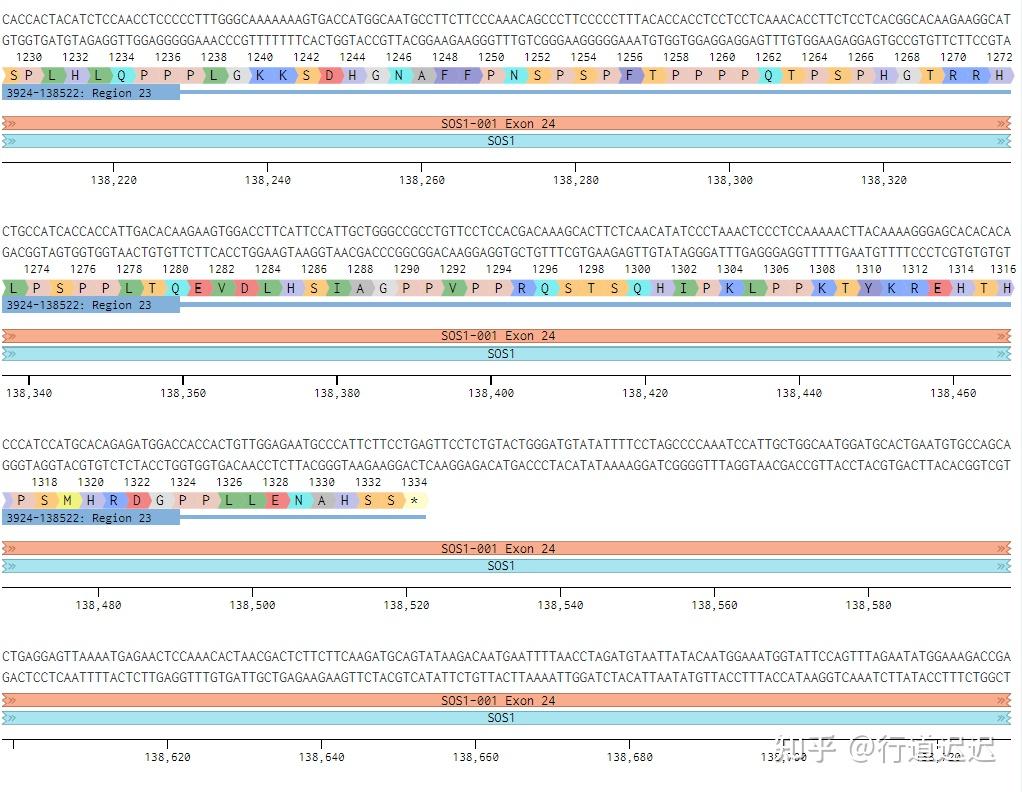 如何使用benchling在线设计CRISPR Knock in 同源互补模板 - 知乎
