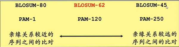 生物信息学_序列比对（二）替换计分矩阵 - 知乎
