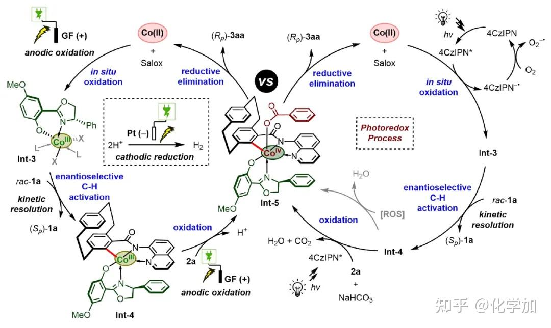 浙大史炳锋团队Angew：钴/Salox催化的不对称电氧化或光催化C−H酰氧化与烷氧化反应构建平面[2,2]对环藩面手性化合物 - 知乎