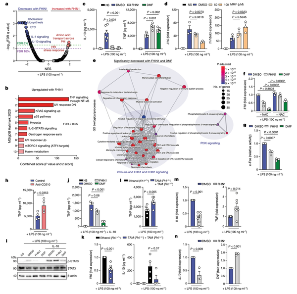Nature|多组学揭示靶向延胡索酸水合酶有望成为炎症性疾病治疗的新方向 - 知乎
