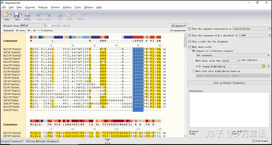 SnapGene-Align Sequences-同源比对 - 知乎