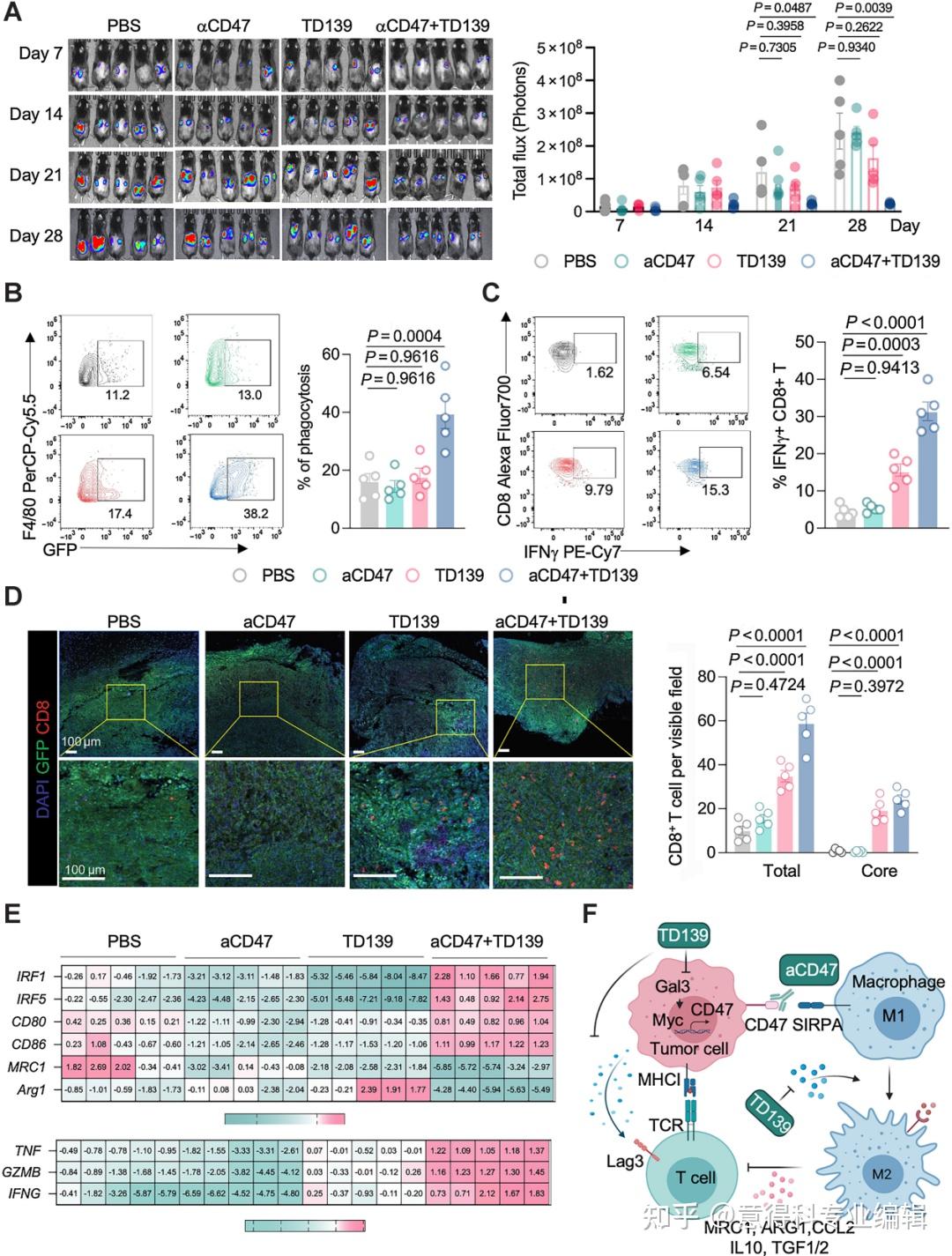 癌症免疫治疗再发高分！安德森癌症中心团队揭示热门靶点Galectin-3和CD47联合阻断在胃癌腹膜转移中重要作用 - 知乎