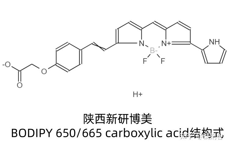 BODIPY 650/665 COOH，349667-87-4可用于远红外荧光成像 - 知乎