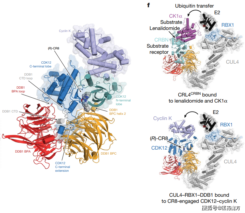PROTAC技术的领域热度和全球格局 - 知乎