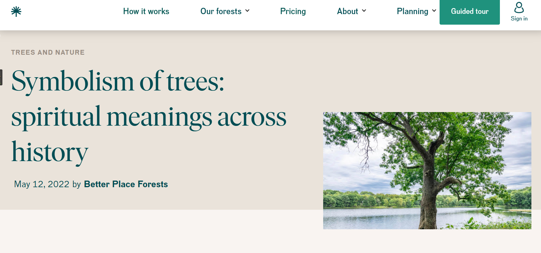 Better Place Forests：关于树的象征，与在历史上的各种灵性意义 - 知乎