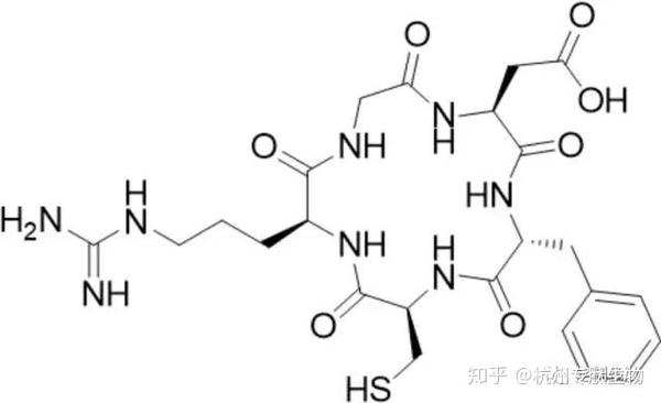 RGD环肽系列总结图 - 知乎