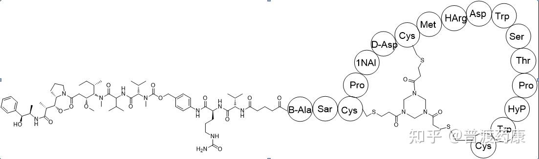 PDC药物研究最新进展 - 知乎