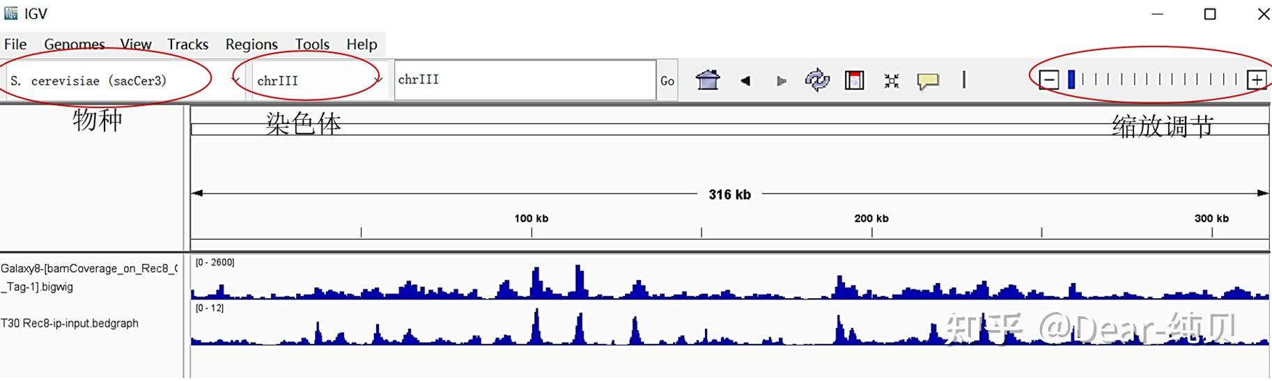 生信小白学生信——ChIP-seq和CUT&Tag数据分析 - 知乎