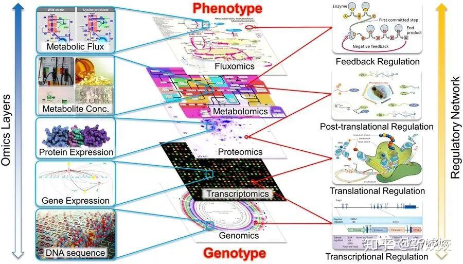 Codex单细胞空间蛋白组学平台助力multi Omics多组学联合分析 知乎